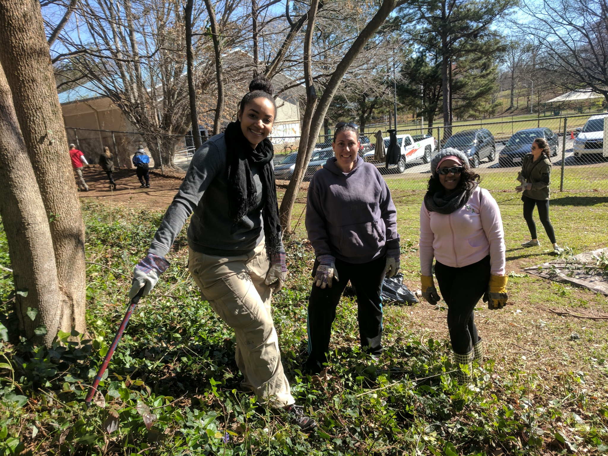 Setting up your Invasive Plant Management Calendar - Park Pride